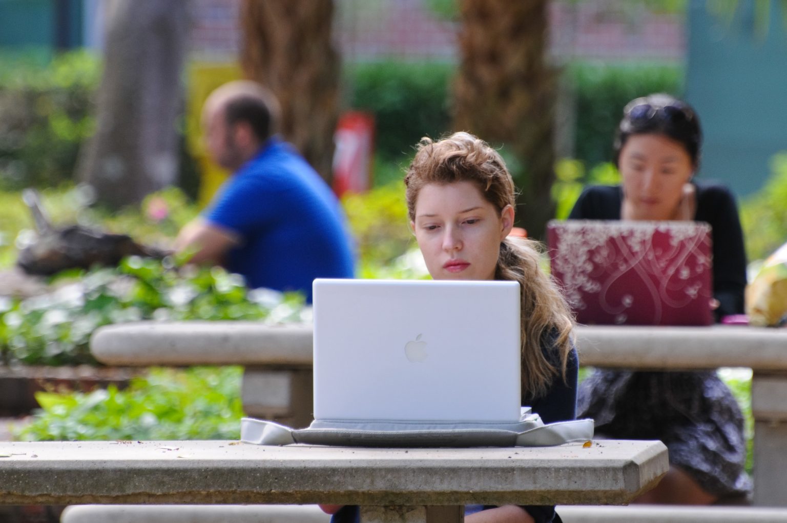 UF Has First Accredited Online Planning Degree | Department of Urban ...