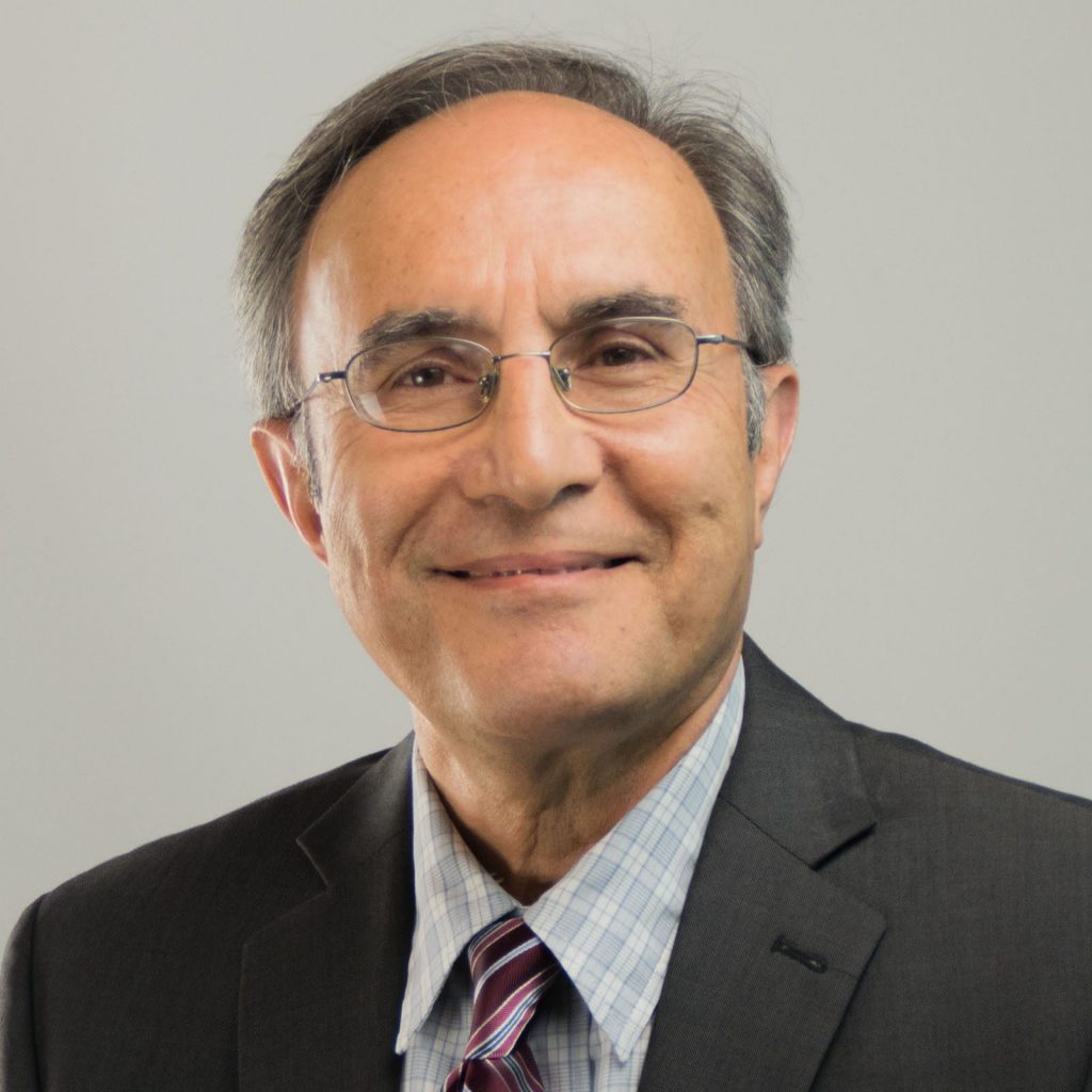 Abdol R. Chini | UF College of Design, Construction and Planning